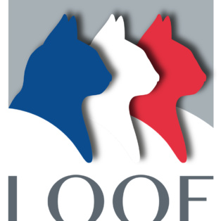 BBC-LOOF - Be a British Cat