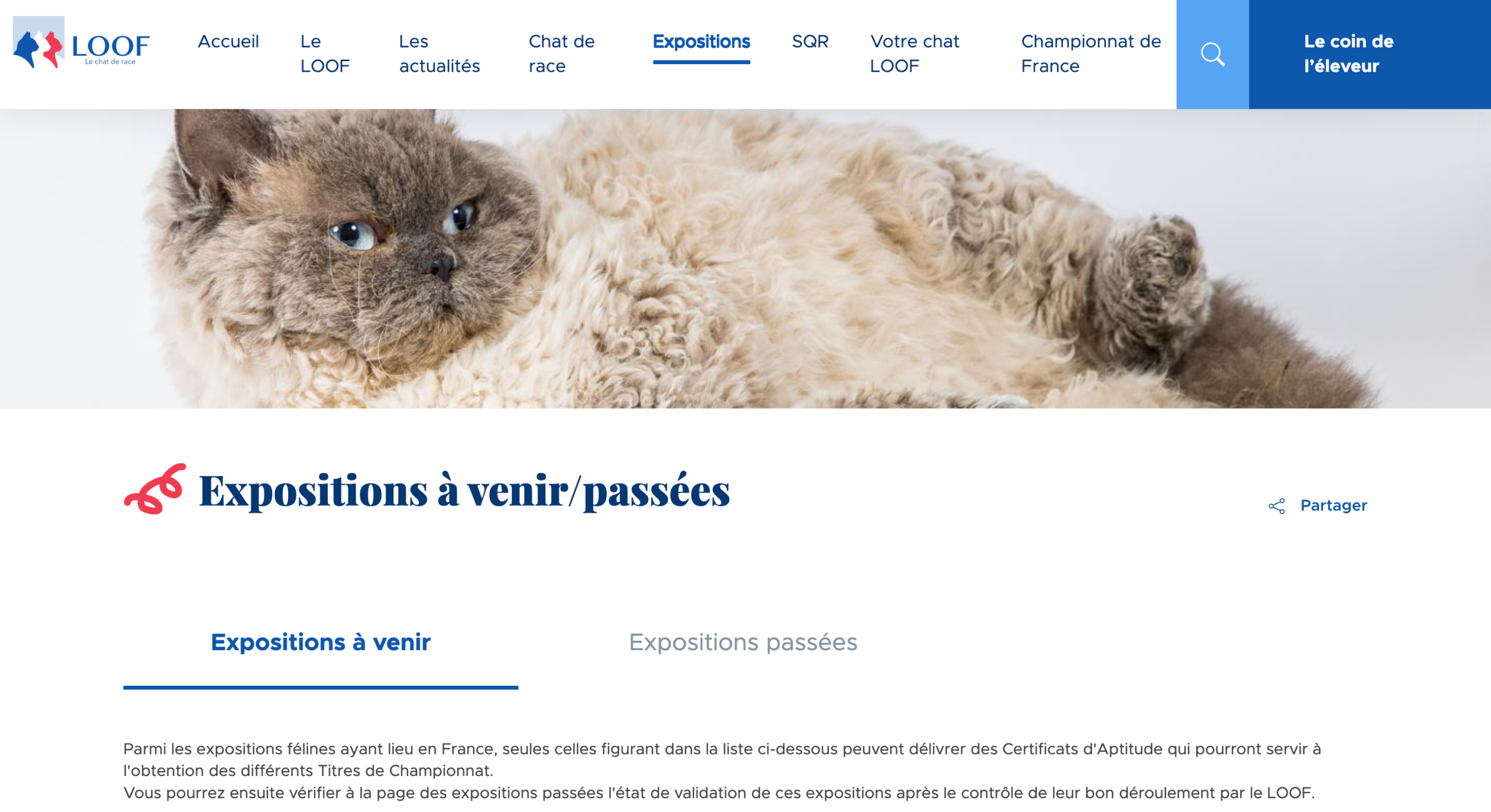 Les expositions LOOF - Be a British Cat